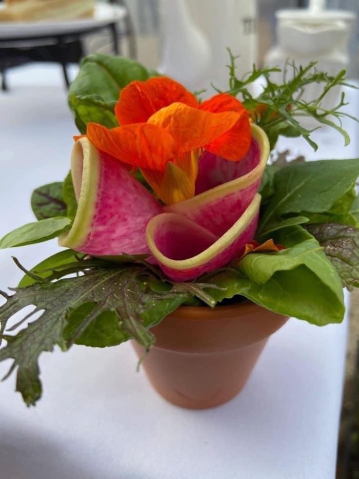 Tearoom in the Spotlight: Botanical Tea Room